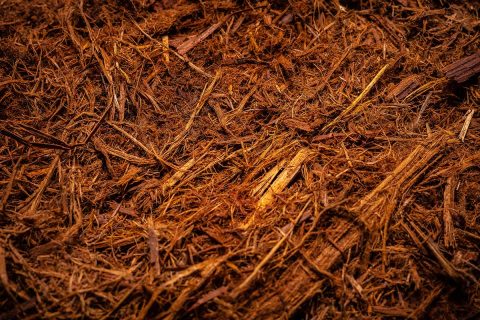 Bark Dust | Fresh & Local Bark Mulch | Bark Boys, Inc.