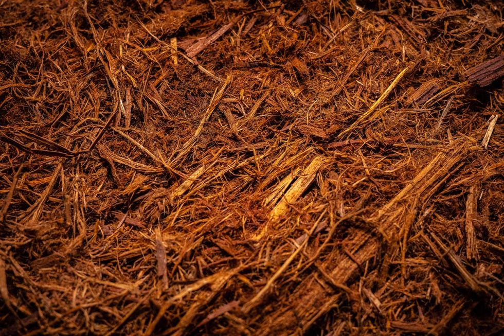 Bark Dust | Fresh & Local Bark Mulch | Bark Boys, Inc.