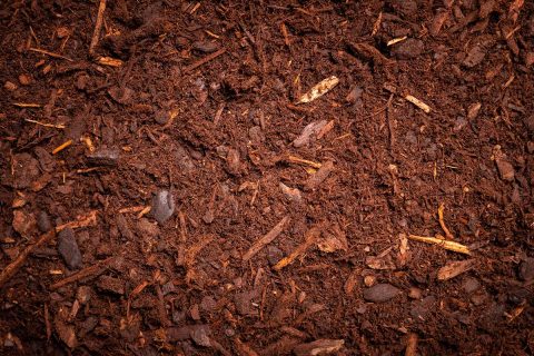 Bark Dust | Fresh & Local Bark Mulch | Bark Boys, Inc.