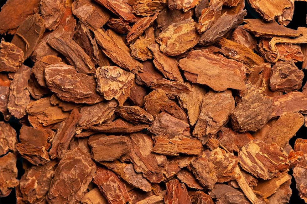 Bark Dust | Fresh & Local Bark Mulch | Bark Boys, Inc.