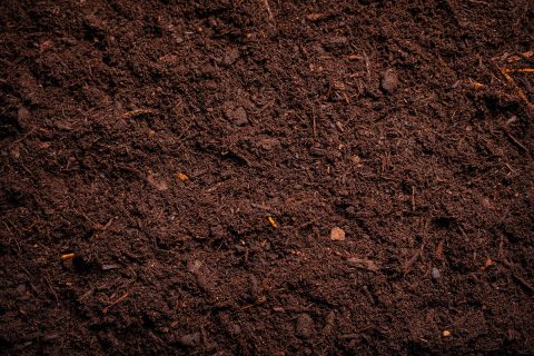 Bark Dust | Fresh & Local Bark Mulch | Bark Boys, Inc.