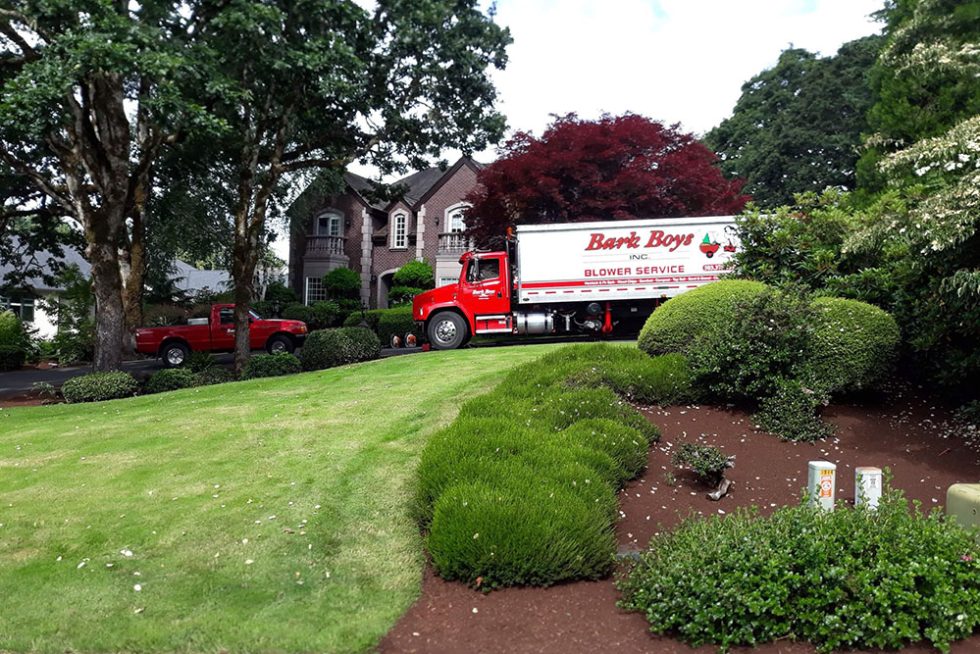 Project Gallery | Bark Boys