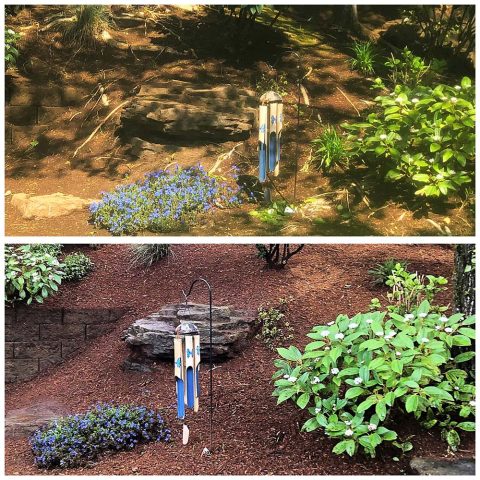 Project Gallery | Bark Boys