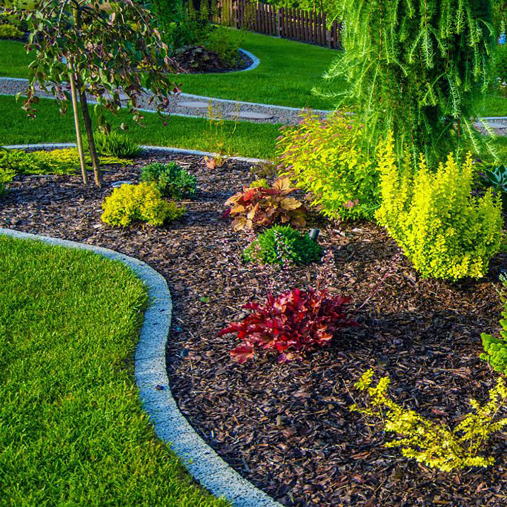 Project Gallery | Bark Boys