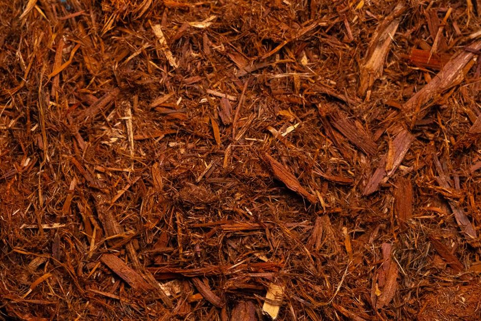 Bark Dust | Fresh & Local Bark Mulch | Bark Boys, Inc.