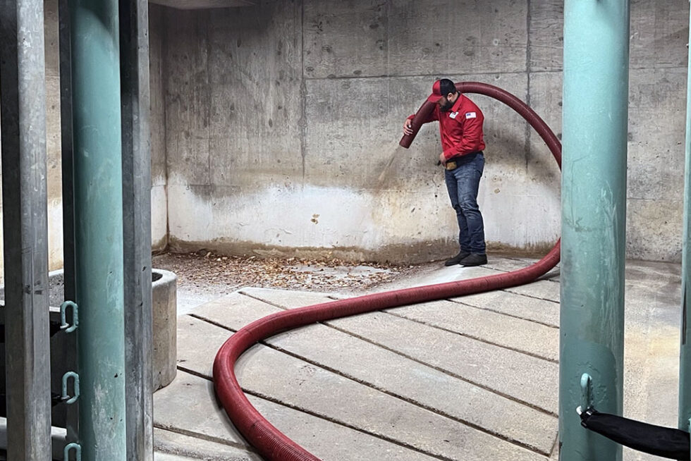 Project Gallery | Bark Boys