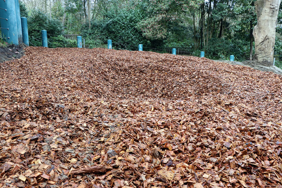 Project Gallery | Bark Boys