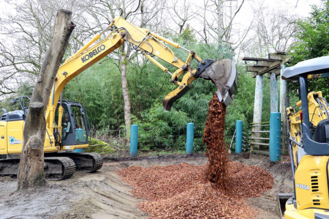 Project Gallery | Bark Boys