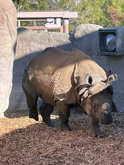 Project Gallery | Bark Boys