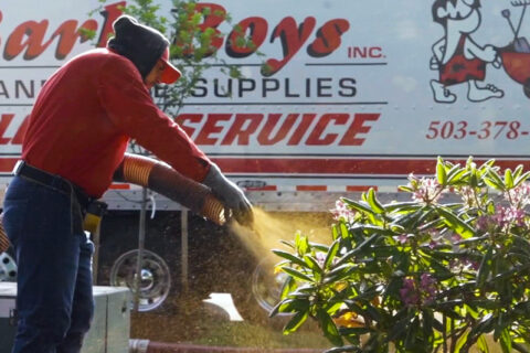 Bark Dust | Fresh & Local Bark Mulch | Bark Boys, Inc.